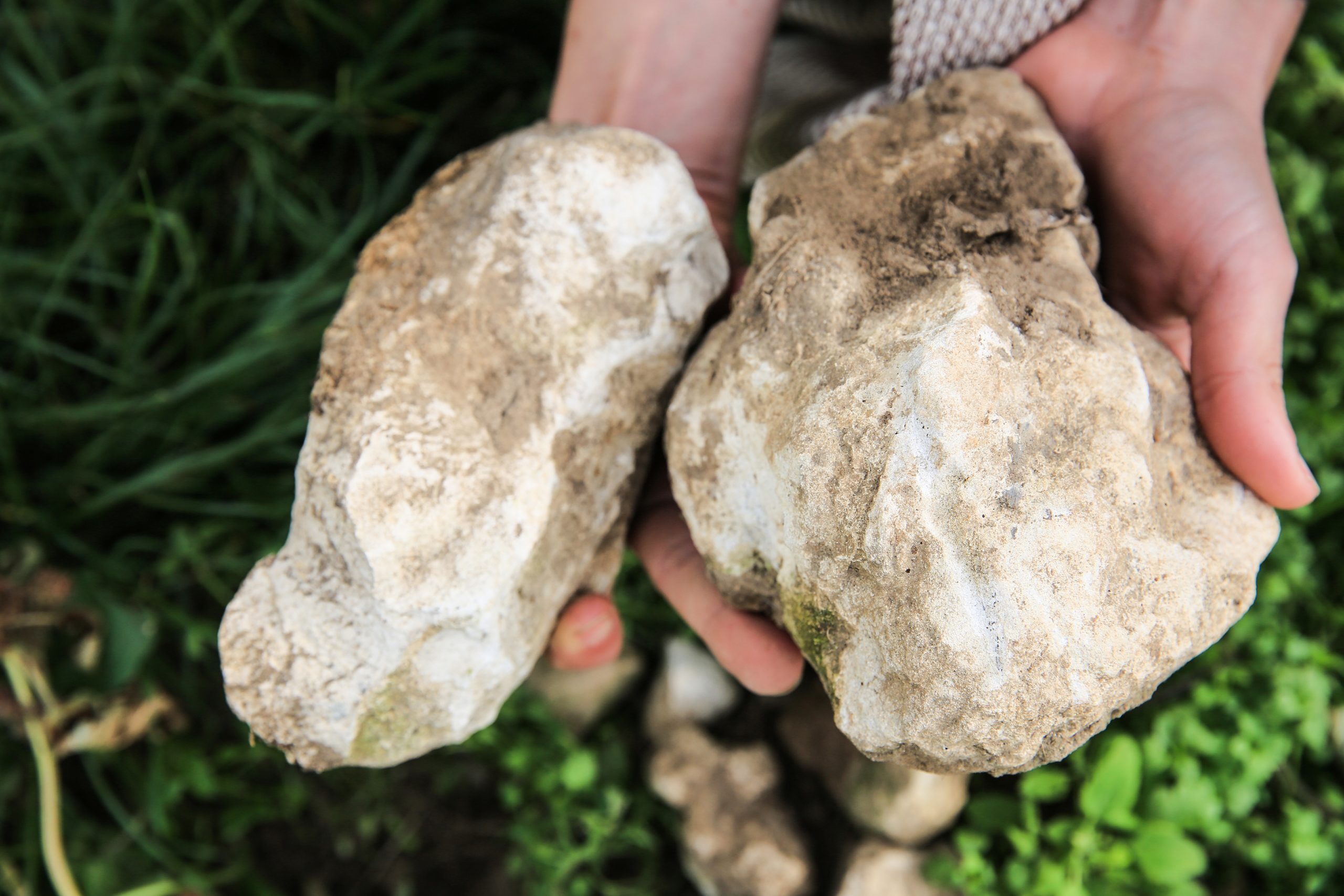 達立餐飲有限公司 Delight Marketing INC.